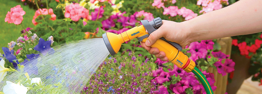 How to Water Your Plants: Guide for Healthier Growth