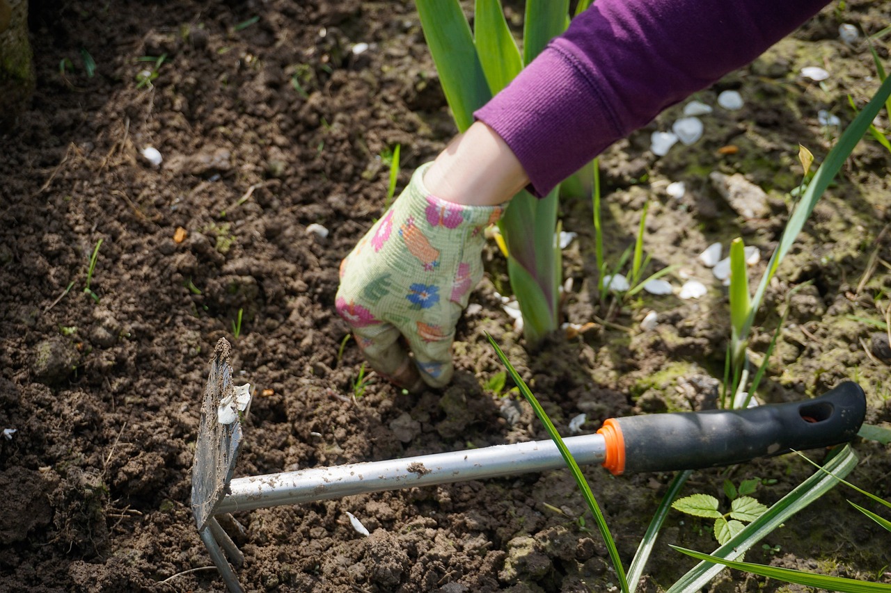 How to Prepare your Garden for Spring